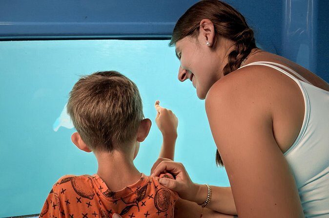 Atlantis Submarine Private Tour in Bridgetown - FAQ