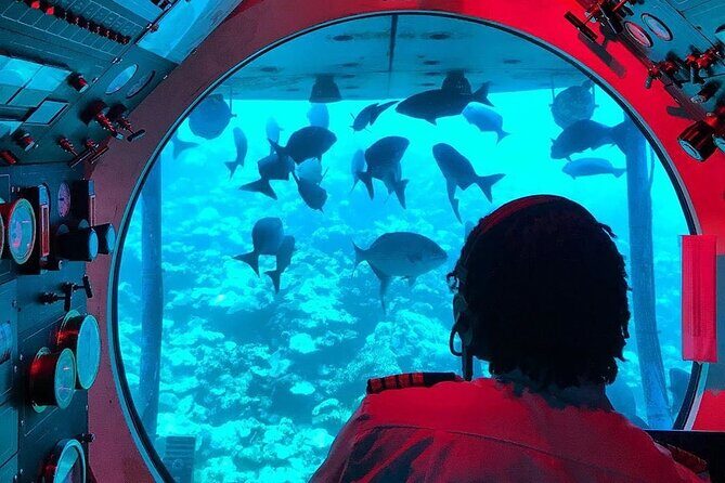 Atlantis Submarines Night Tour - A Deep Dive into the Experience