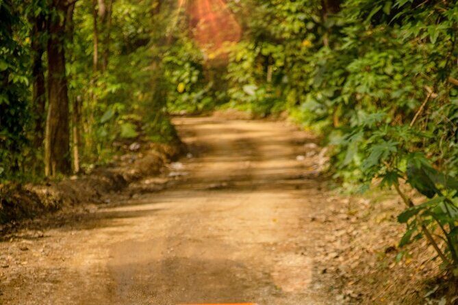 ATV, 4 Wheeler or Buggie Truck Tour in Punta Cana and Macao - Insights from the Tour Experience