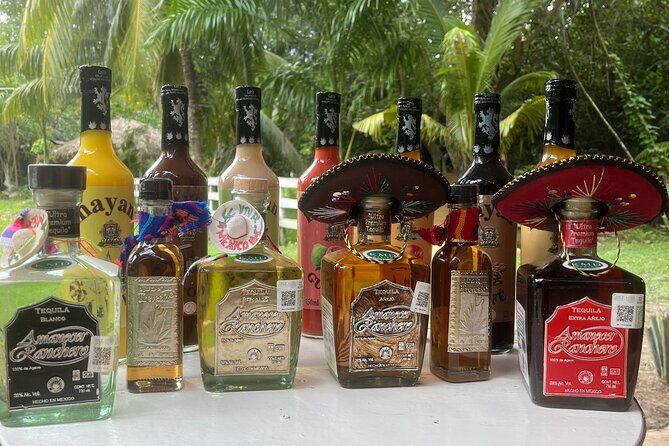 Atv Adventour : Cenote Jade Cavern, Transportation & Tequila - Final Thoughts