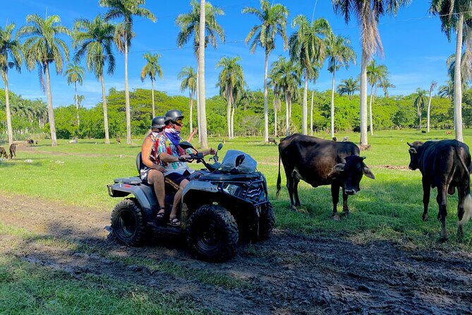 ATV Adventure Amber Cove and Taino Bay - Who Will Love This Tour?