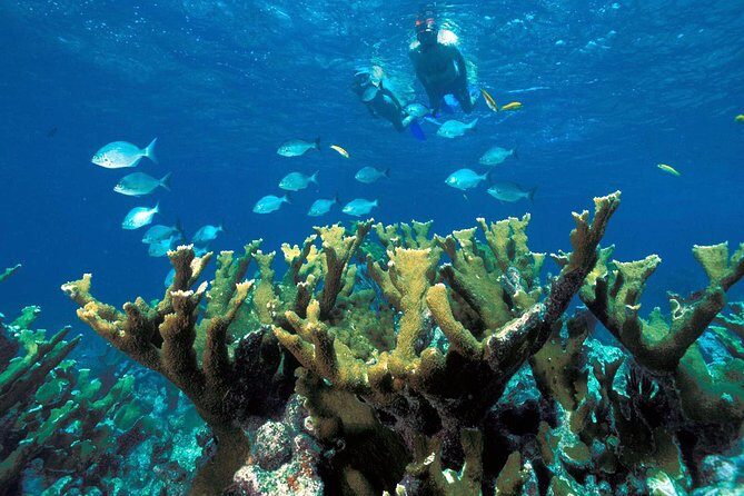 ATV Adventure Combo with Snorkeling, Ziplines, Cenote, and Lunch - FAQ