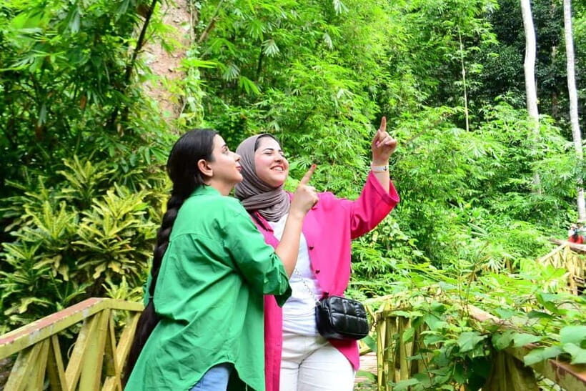 ATV Adventure Package  1 Hour Fun Ride in Langkawi - What is the ATV Adventure Package?