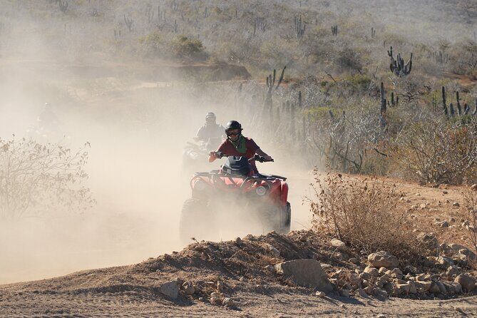 ATV and Camel Experience Los Cabos - An In-Depth Look at the ATV and Camel Experience in Los Cabos