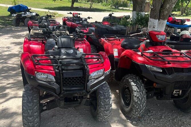 ATV and Horse Back Ridding From Montego bay - Who Will Love This Tour?
