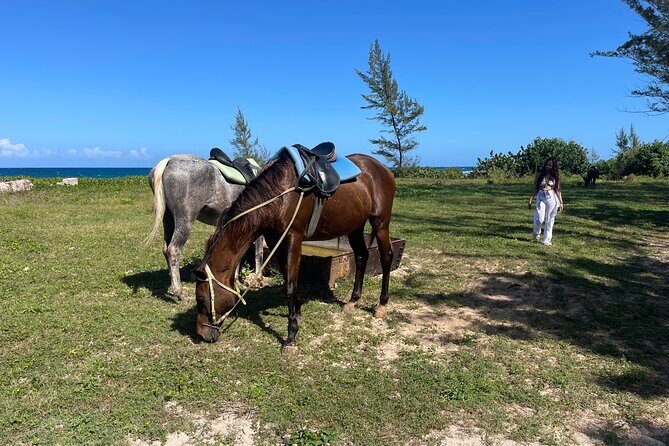 ATV and Horseback Ride n Swim Adventure Tour In Montego Bay - Who Should Consider This Tour?
