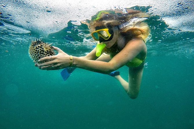 ATV and Snorkel From Playa Flamingo - Meeting and Pickup Details