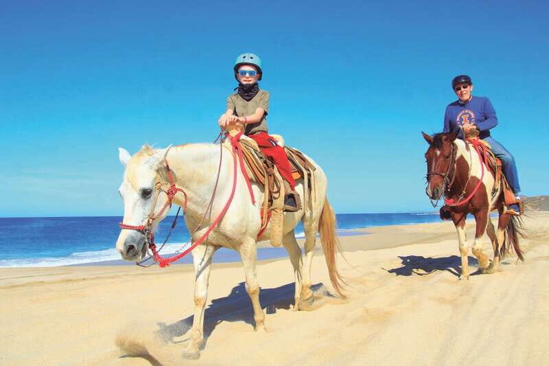 ATV Automatic 4X4 & Horseback riding in Cabo by Cactus Tours - Introduction: Why This Tour Might Be Your Ideal Cabo Adventure