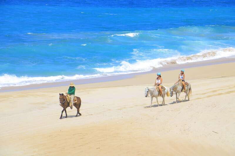 ATV Automatic 4X4 & Horseback riding in Cabo by Cactus Tours - The Practical Details: Transportation, Duration, and Accessibility