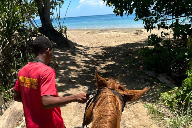 ATV, Bamboo Rafting, Horseback Ride From Montego Bay- Private - The Sum Up