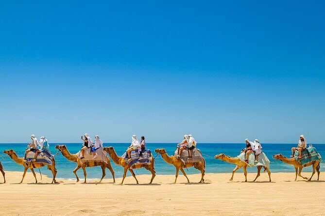 ATV & Camel Ride Tour on Migriño Beach - The Itinerary in Detail