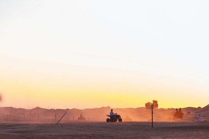 ATV Desert Adventure in Baja California Sur with Tequila Tasting - Final Thoughts