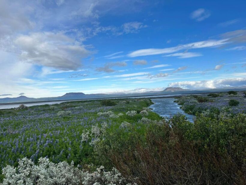 ATV guided trip close to dettifoss iceland - The Sum Up