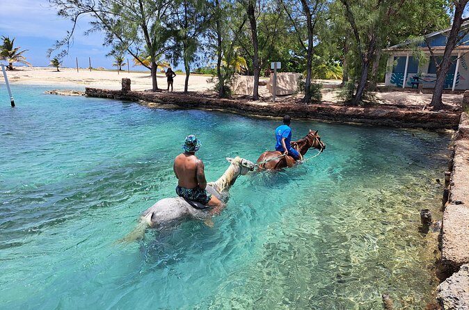 ATV Horseback Zipline and Party Boat Adventure - The Sum Up