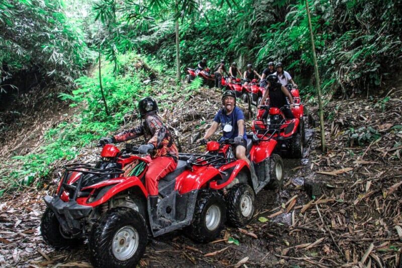 ATV Quad Bike Bali with Waterfall Gorilla Cave and Lunch - The Itinerary: What to Expect