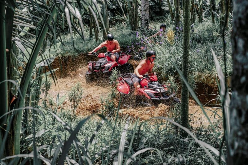 ATV Quad Bike Bali with Waterfall Gorilla Cave and Lunch - Whats Included and What to Keep in Mind