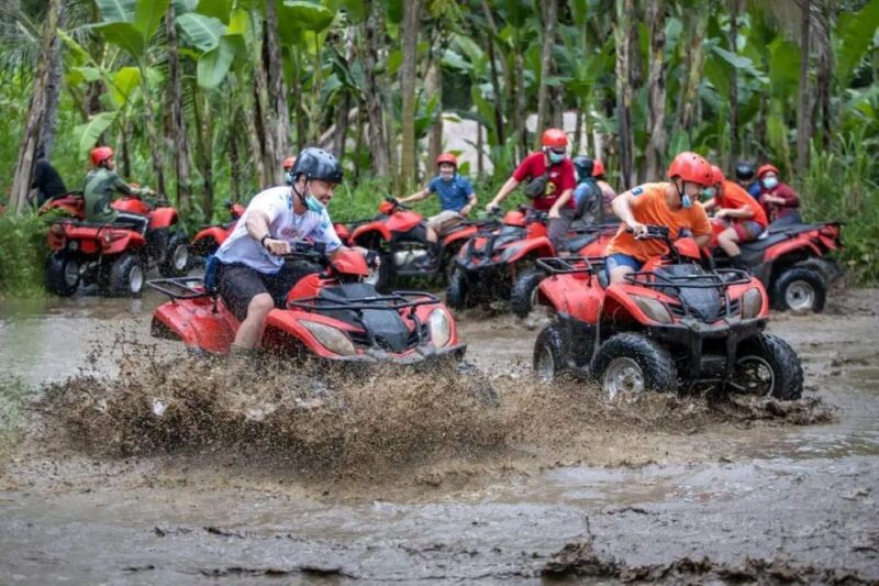 ATV Quad Bike Bali with Waterfall Gorilla Cave and Lunch - Who Is This Tour Best For?