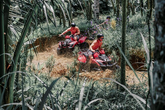 ATV Quad Bike Bali with Waterfall Gorilla Cave and Lunch - Final Thoughts: Who Should Consider This Tour?