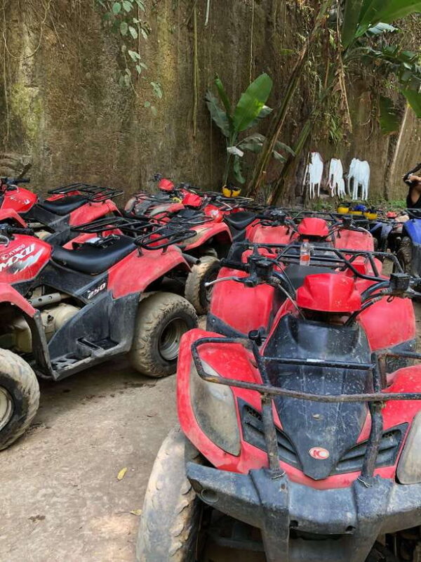 ATV Quad,biking adventure ubud - Key Points