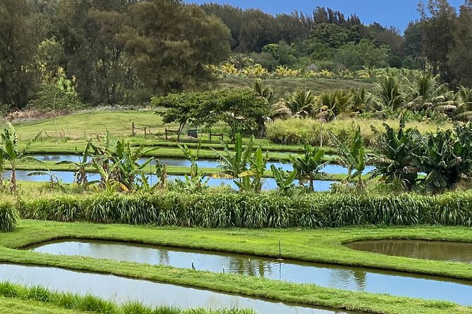 ATV Ranch Ride Big Island Hawaii - Cattle Herd and Wild Horses