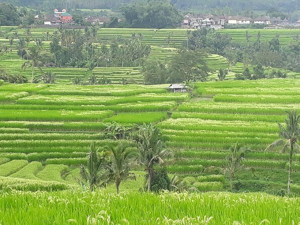 ATV Ride & 2 Hours Lulur SPA Package - What the Tour Includes & What to Consider