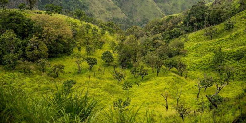 ATV Ride in Ella - Key Points