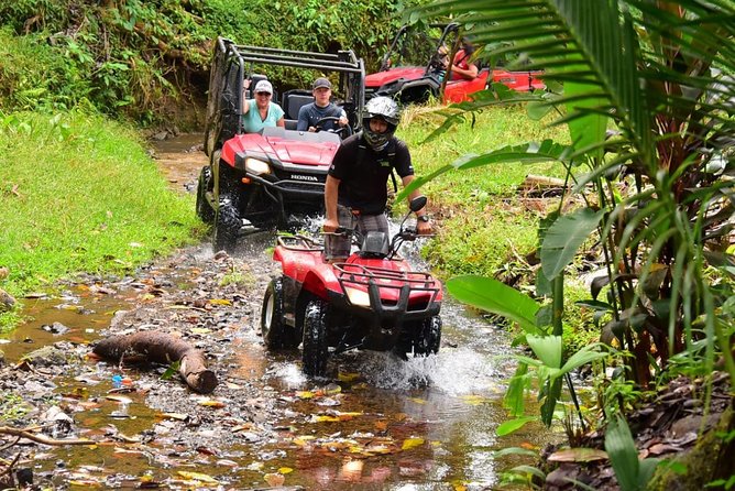 ATV River, Beach, Jungle Adventure and Crocodiles Hotspot From San Jose - Pricing and Booking Options