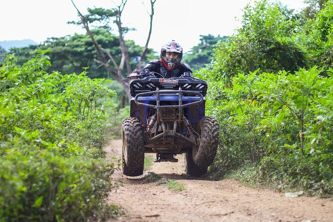 ATV Safari 3 Hrs & Jungle Trekking Day Tour From Chiang Mai - An In-Depth Look at the Tour