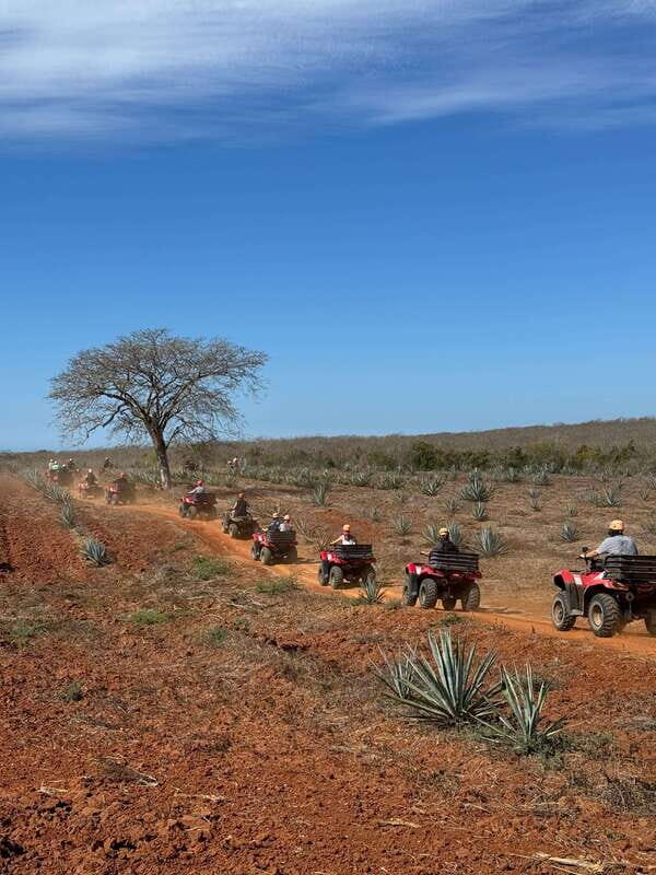 ATV & TEMAZCAL COMBO TOUR - Concluding Thoughts