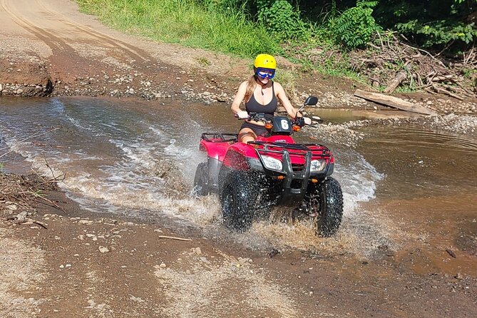 ATV Tour 2 Hours on the Beach and Wildlife Forest Trails - Key Points