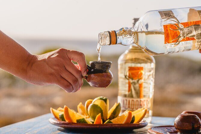 ATV Tour, Camel Ride, Tequila Tasting and Mexican Buffet Lunch - Key Points