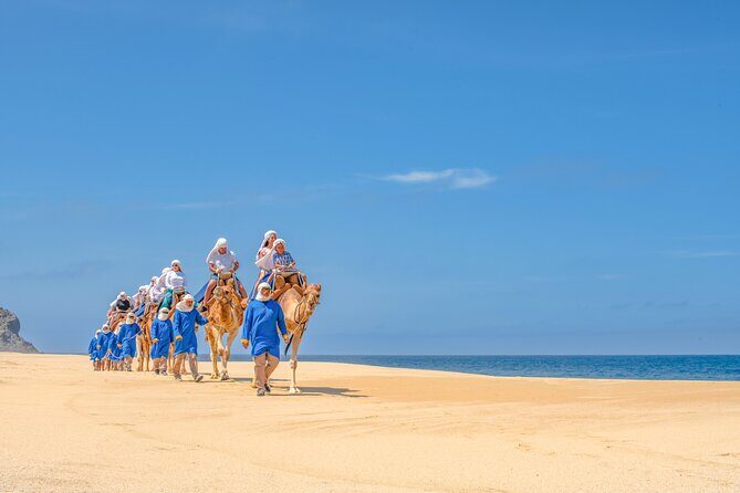 ATV Tour, Camel Ride, Tequila Tasting and Mexican Buffet Lunch - Common Questions Answered