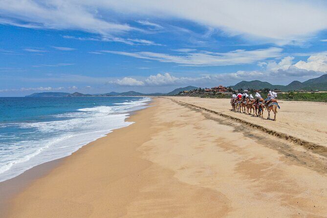 ATV Tour, Camel Ride, Tequila Tasting and Mexican Buffet Lunch - Final Recommendation