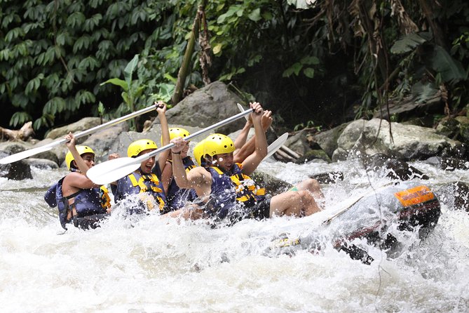 ATV Ubud and Ayung River Rafting - Who Will Love This Tour?