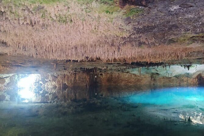ATV Zipline Cenote Swim and Tequila Tasting with Pick Up - Authentic Experiences and Traveler Insights