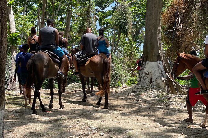 ATVs/zipline/Hb riding and catamaran all day activities. - The Sum Up