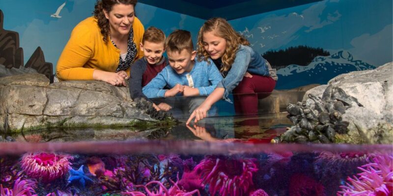 Auburn Hills: Legoland and Sea Life Aquarium Combo Ticket - A Practical Look at the Auburn Hills: Legoland and Sea Life Aquarium Combo Ticket