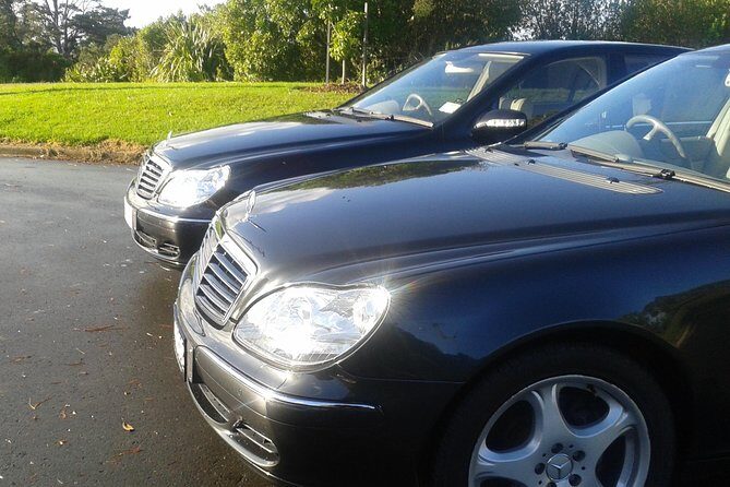 Auckland Airport and City Transfers (To or from) - Who Will Love This Service?