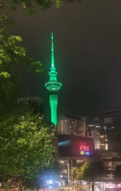 Auckland: Auckland City Tour 4 hours private - Transportation and Logistics