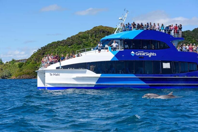 Auckland: Bay of Islands Day Tour with Dolphin Cruise - The Sum Up