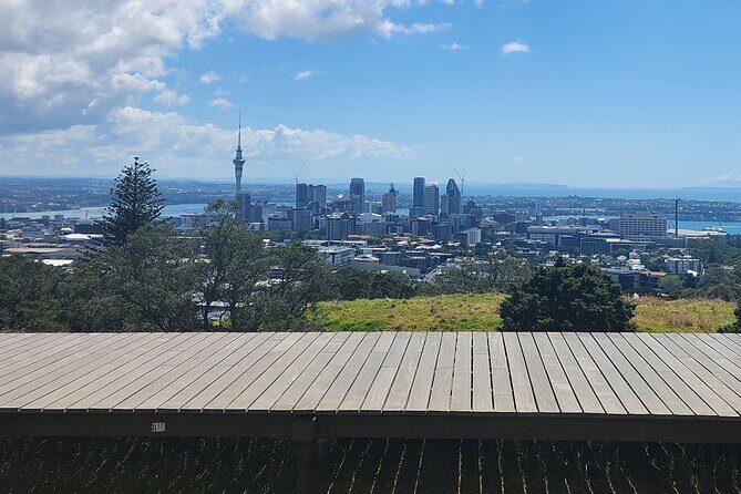 Auckland Best Top 5 Spots Half day Tour - Who Will Love This Tour?