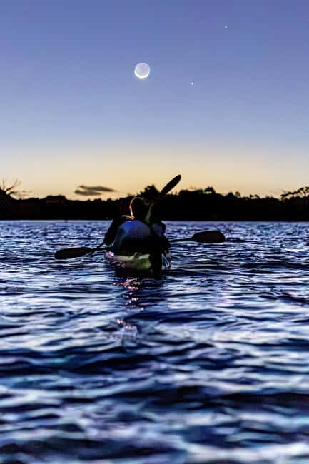 Auckland: Bioluminescence Kayak Tour - The Balance of Experience and Education