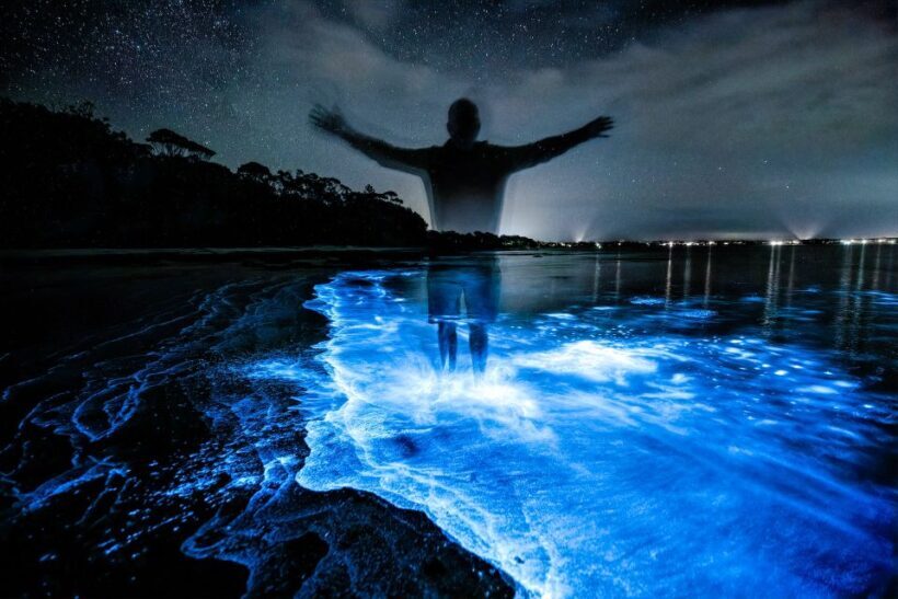 Auckland: Bioluminescence Kayak Tour - Who Should Consider This Tour?