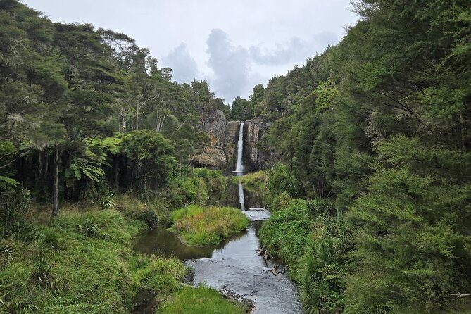 Auckland Birdwatching and Hiking Private Tour - FAQ