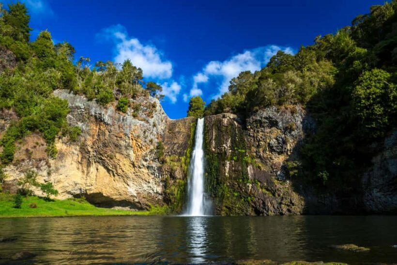Auckland: Birdwatching, Hiking & Waterfalls Tour - Authentic Kiwi Lunch