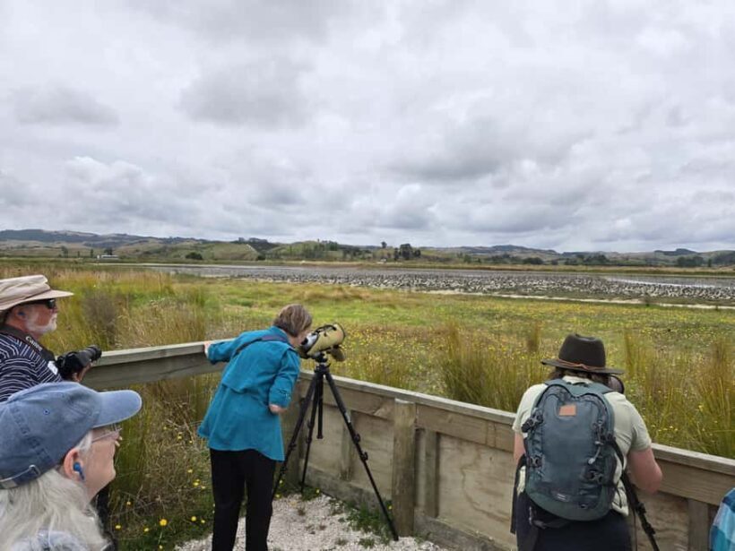 Auckland: Birdwatching, Hiking & Waterfalls Tour - Value for Money & Overall Impression