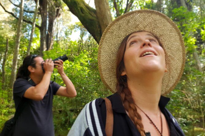 Auckland Bush, Beach and Bites Trail - Key Points