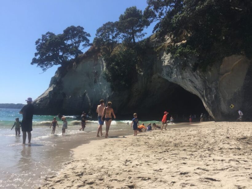 Auckland: Cathedral Cove and Coromandel Small Group Tours - Final Thoughts