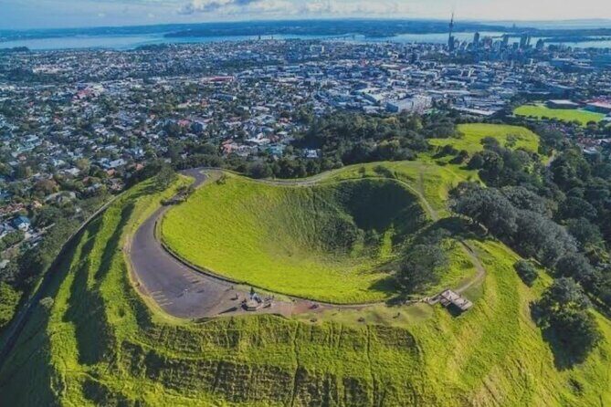Auckland City and Native Kiwi Encounter Small Group Tour - Introduction: Why This Tour Stands Out