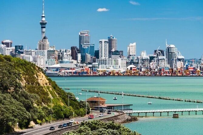 Auckland City and Native Kiwi Encounter Small Group Tour - The Practical Side: What You Need to Know